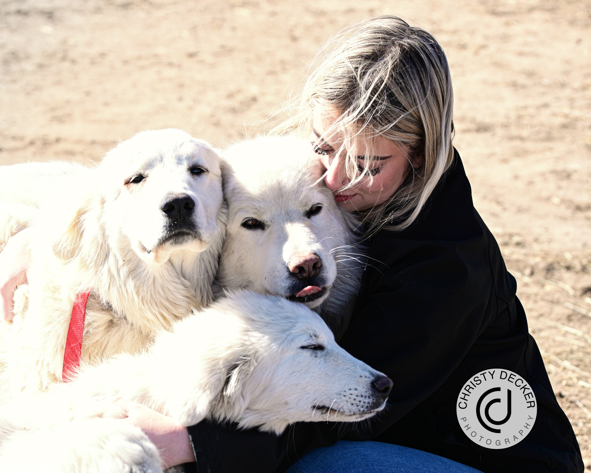 Mini Acres Ranch and Kennels - Mini Acres Ranch and Kennels